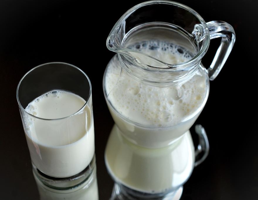 Professor do curso de Nutrição responde: o leite é vilão ou aliado para ...