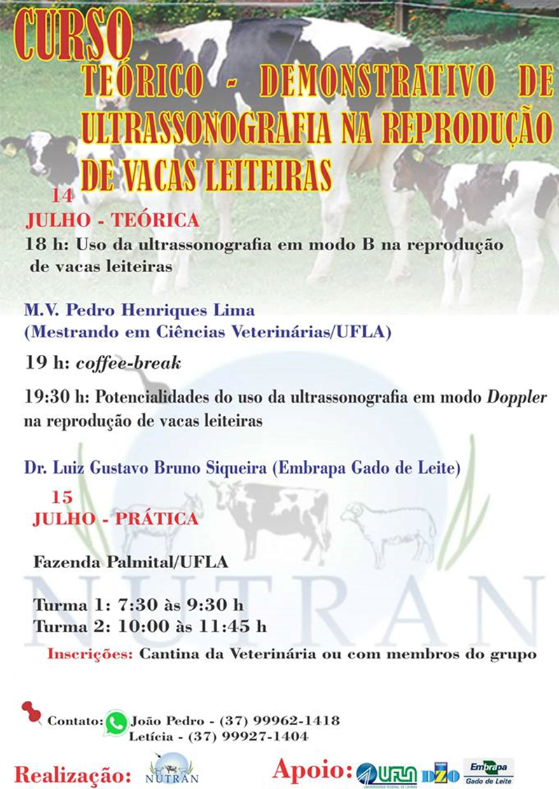 Curso sobre reprodução de vacas leiteiras será realizado na UFLA ...